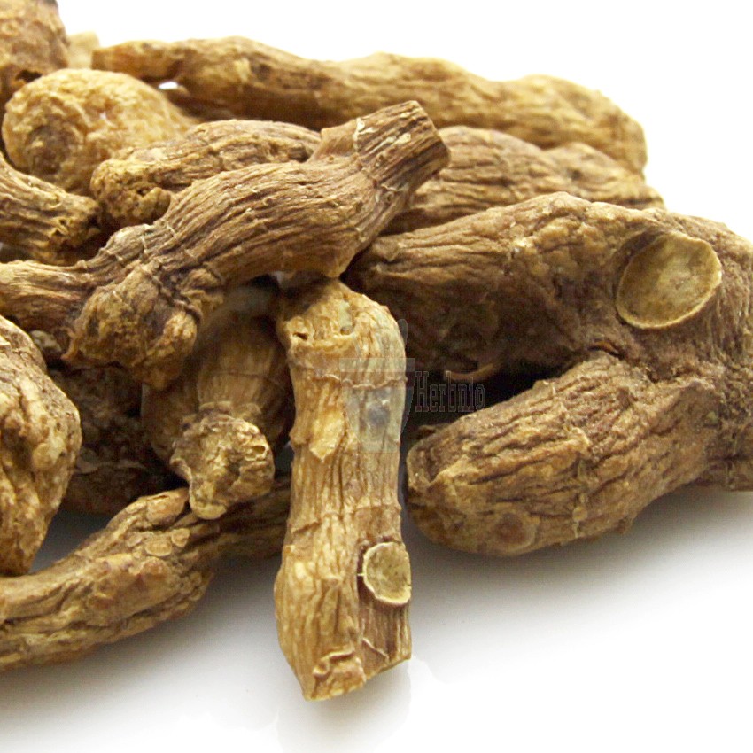 Shop Solomon’s Seal Roots (Polygonatum Biflorum) 100% from nature