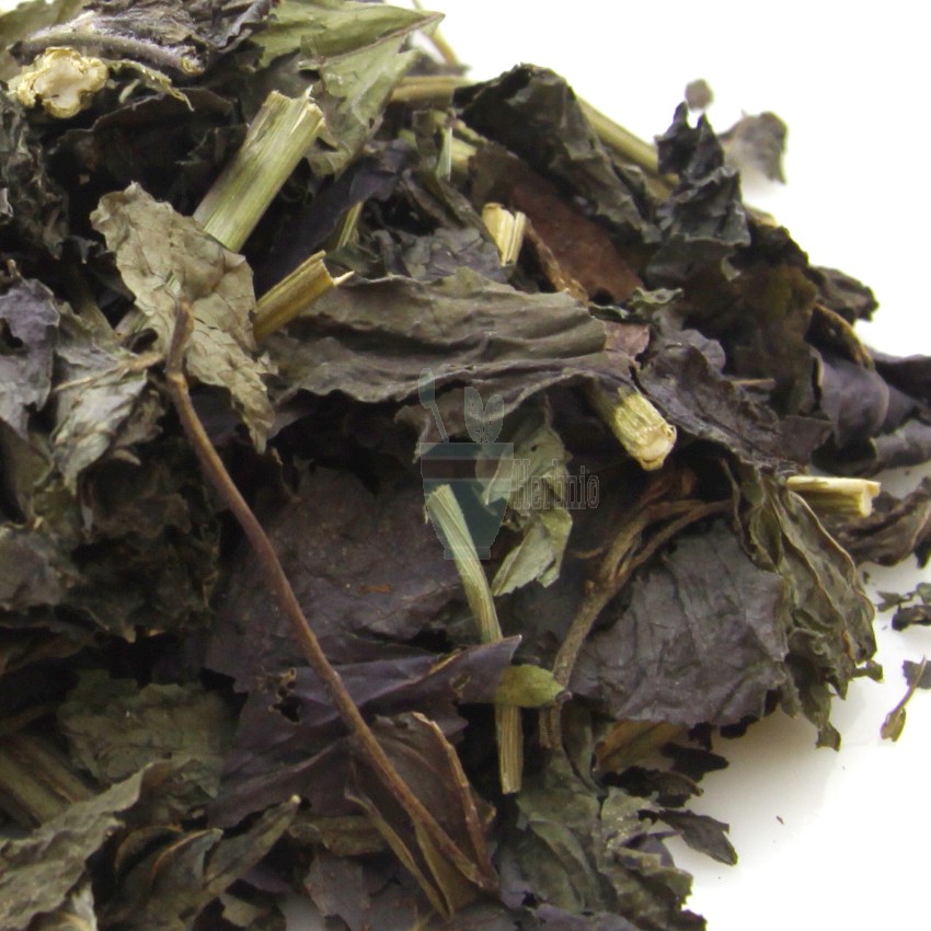 Shop Natural Perilla Frutescens (Perillae Folium) Leaves 100% from nature