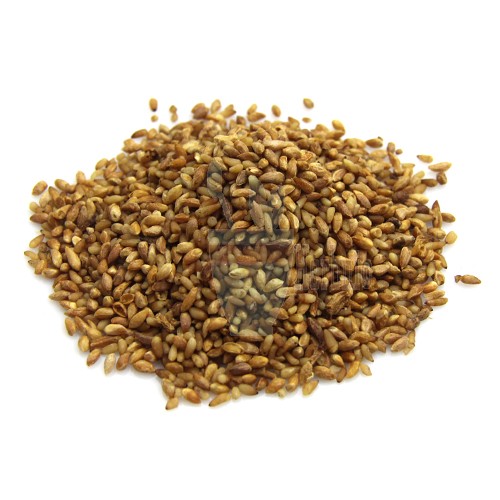 Shop Biota Seeds (Arborvitae) 100% from nature