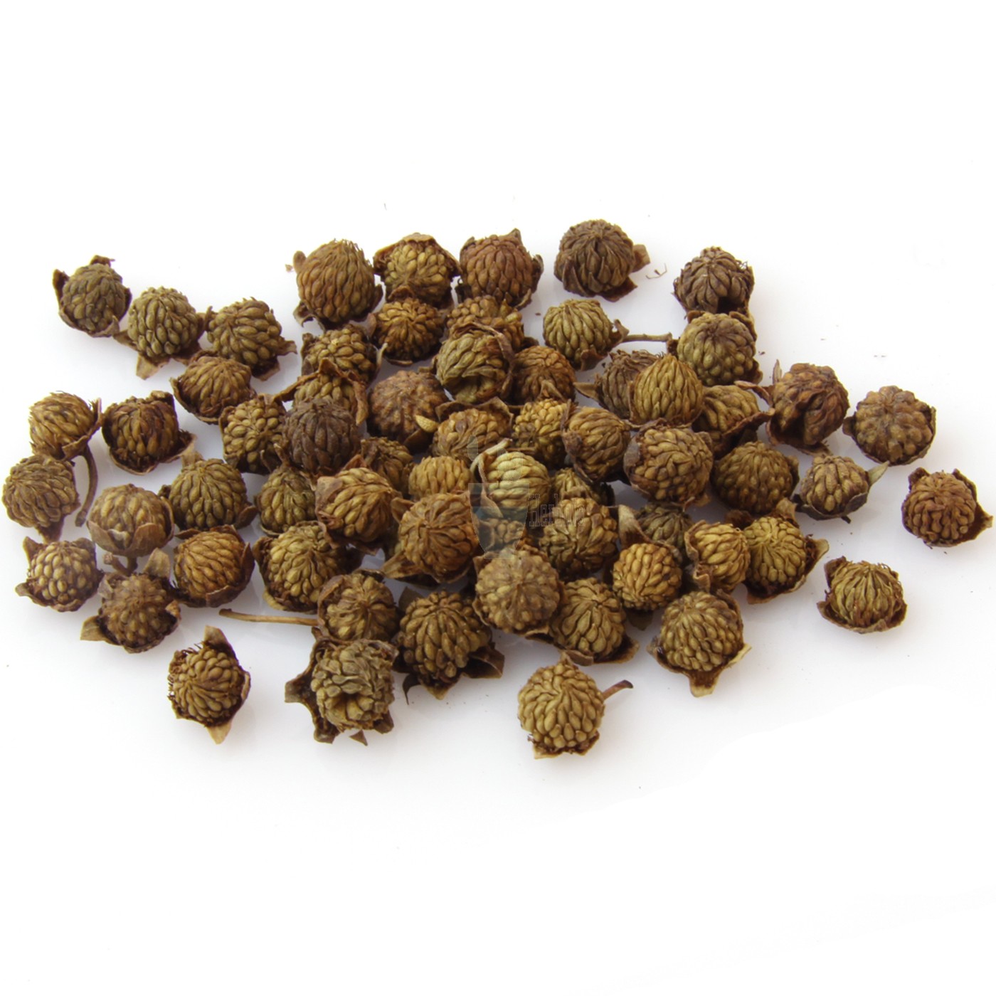 Shop Fructus Rubi (Rubus coreanus MIQ) 100% from nature