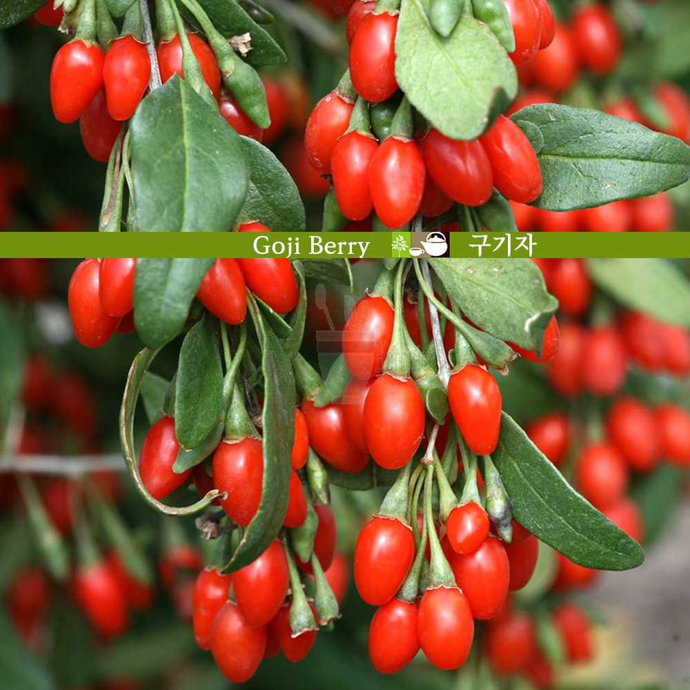 Shop Korean Goji Berry 100% from nature