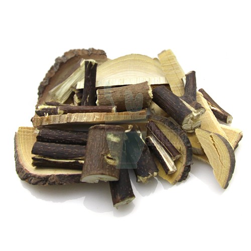 Shop Hovenia dulcis (Raisin Tree) 100% from nature