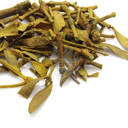Shop Mistletoe (Visci Herba) 100% from nature