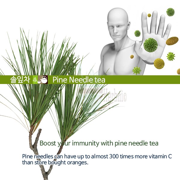 pine leaves uses